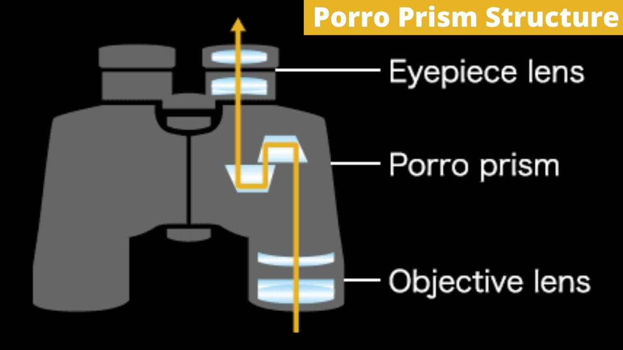 Porro Prism vs Roof Prism - Which One Is Better?